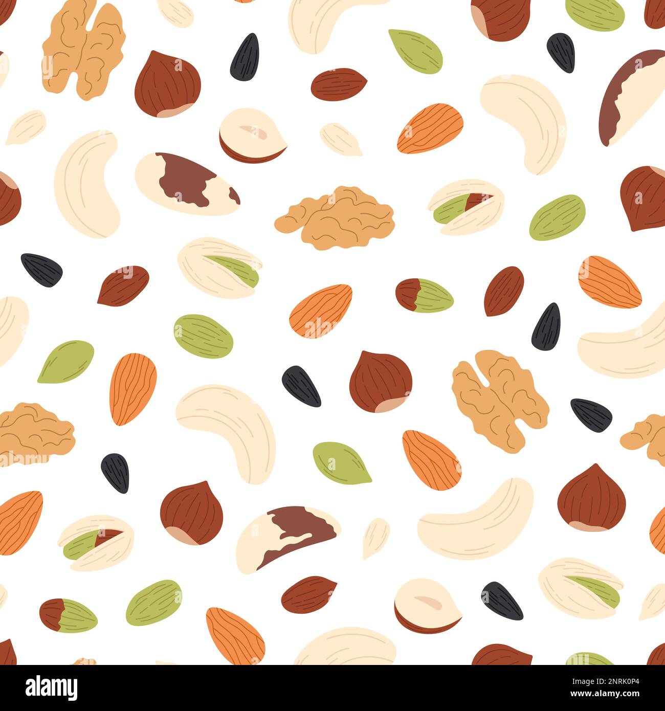 Macadamia nut illustration hi-res stock photography and images - Alamy