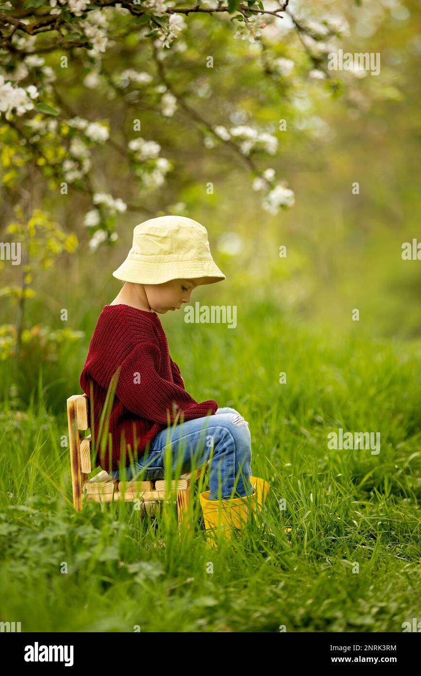Cute child, boy, with umbrella and little chicks, sitting on a small ...