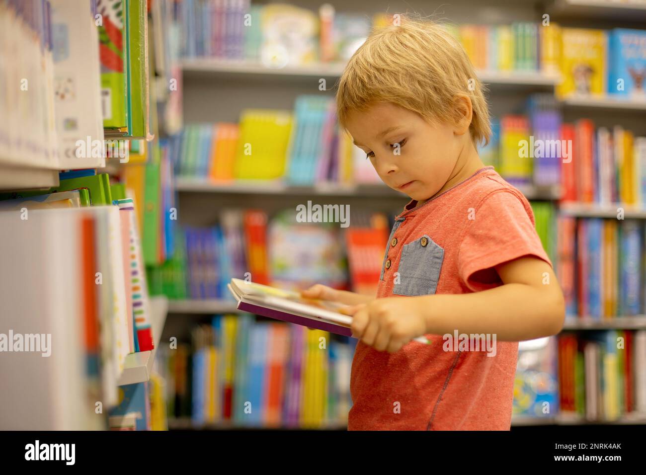 Cute preschool child, sitting in a bookstore, looking at books on ...