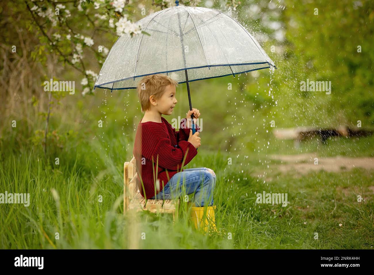 Cute child, boy, with umbrella and little chicks, sitting on a small ...