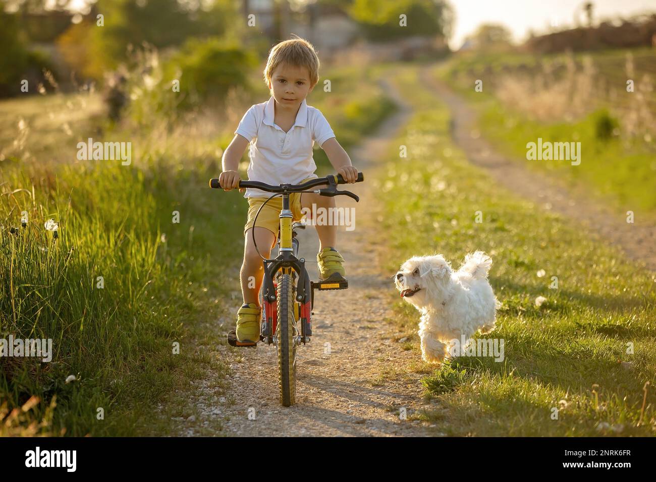 Cute child with pet dog, riding a bike in a rural field on sunset, springtime Stock Photo - Alamy