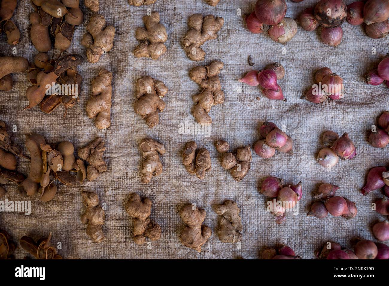 Africa gingers hi-res stock photography and images - Alamy