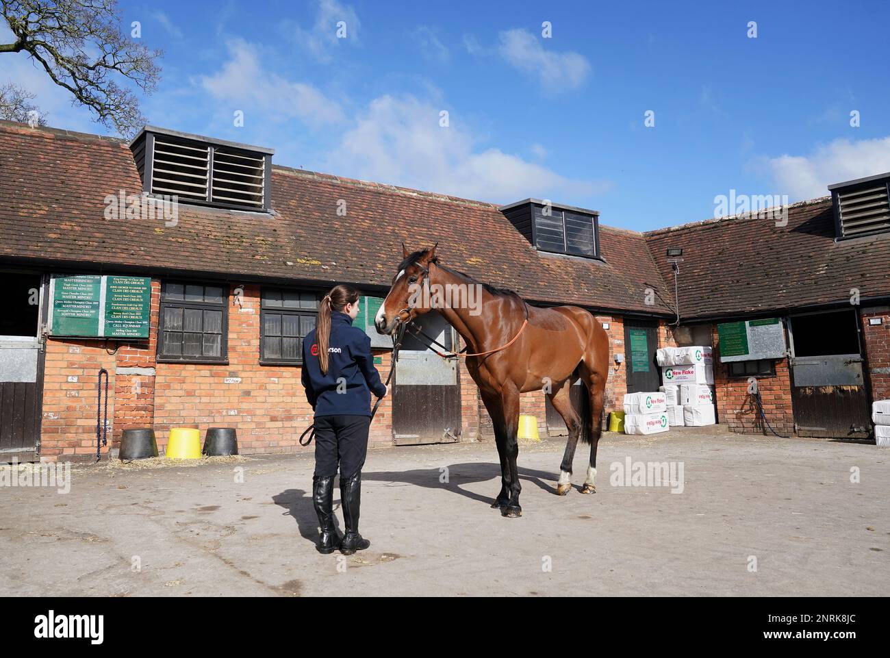 Stay Away Fay with a stable hand during a visit to Manor Farm Stables ...