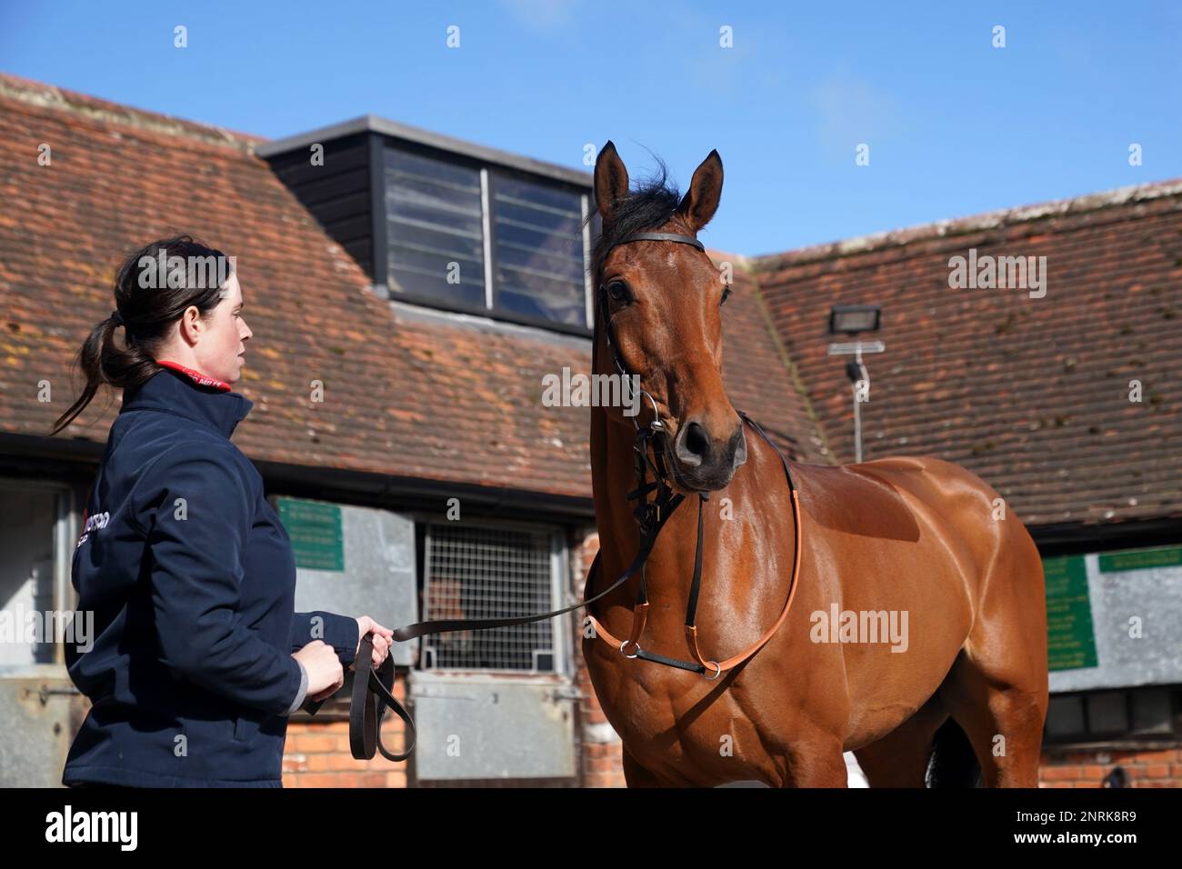 Tahmuras with a stable hand during a visit to Manor Farm Stables, Somerset. Picture date: Monday ...