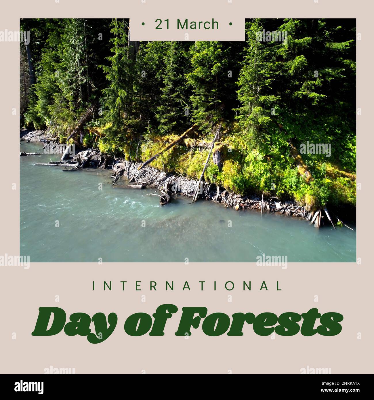 Image of international day of forests text over landscape of river and ...