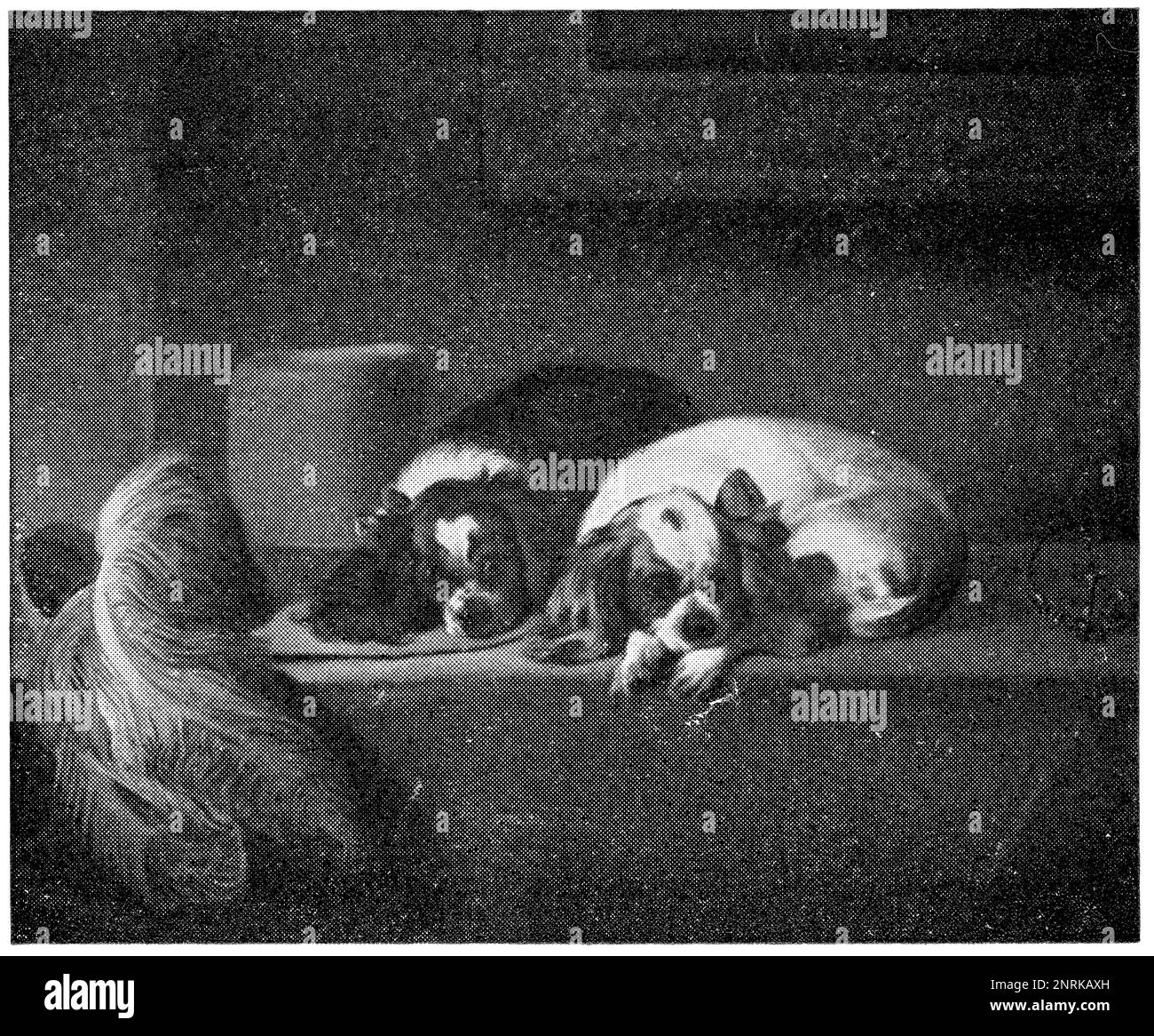 Painter to the king Black and White Stock Photos & Images - Alamy