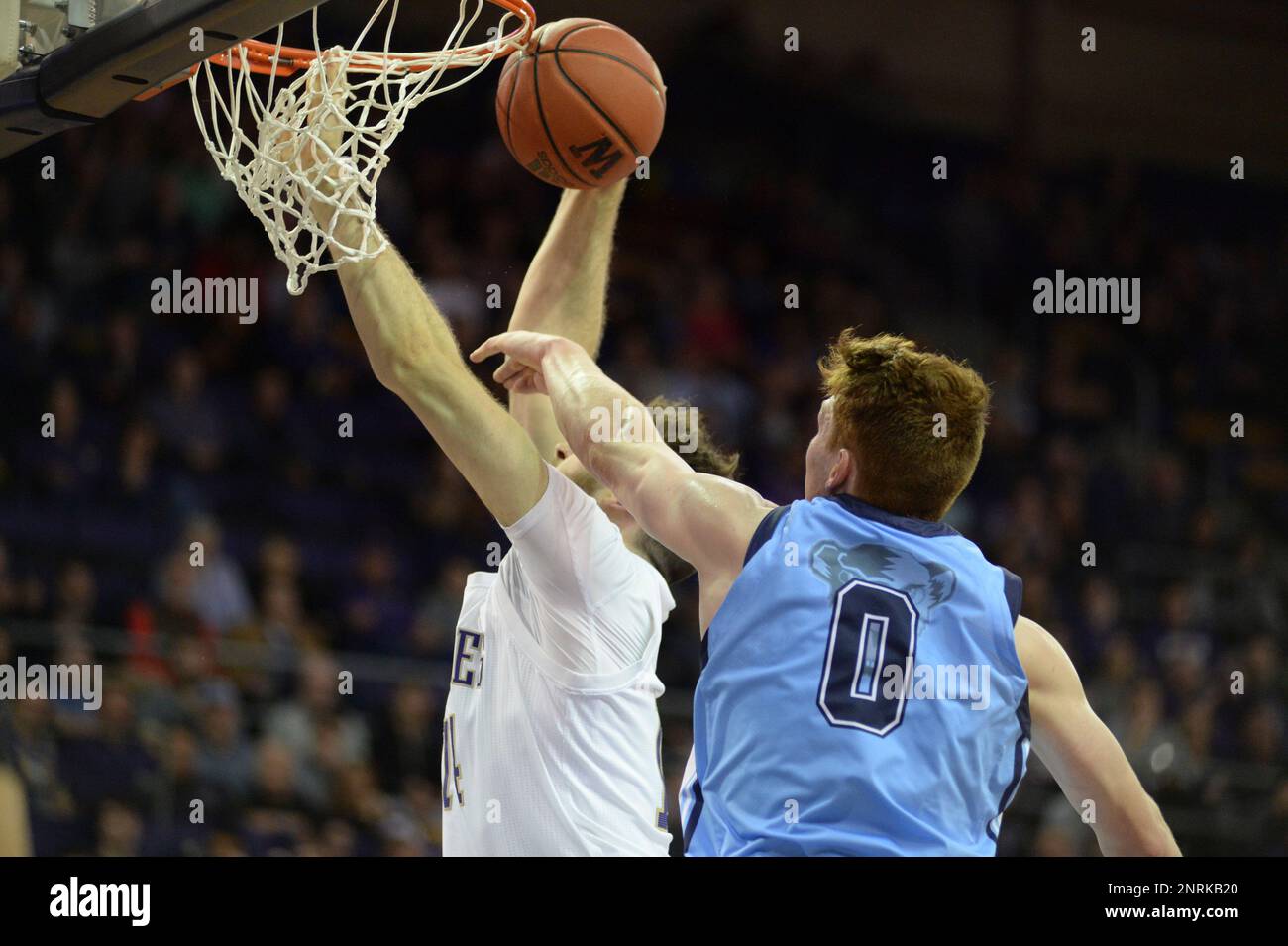 SEATTLE, WA - NOVEMBER 19: Washington Huskies forward Sam Timmins (14 ...