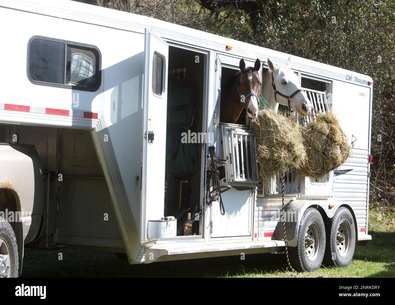 Dom (owner Jacob Arbaugh, Glenmore Hunt (bay horse) Soloman (owner ...