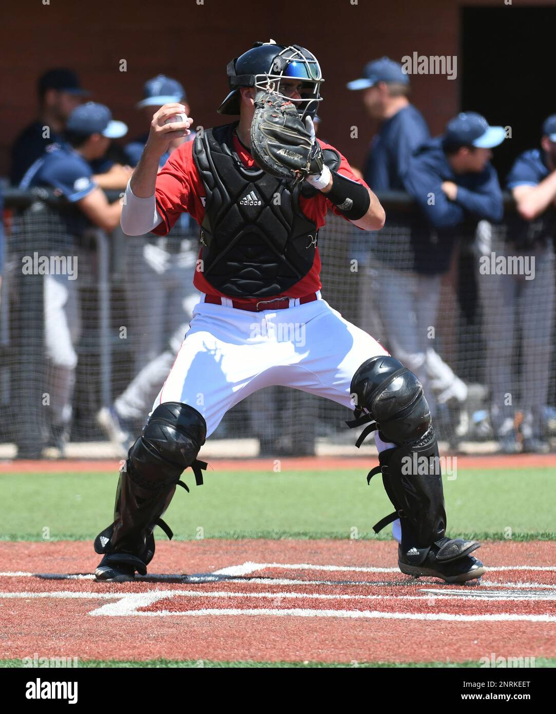 Rutgers University Scarlet Knights catcher Peter Serruto (7) during ...