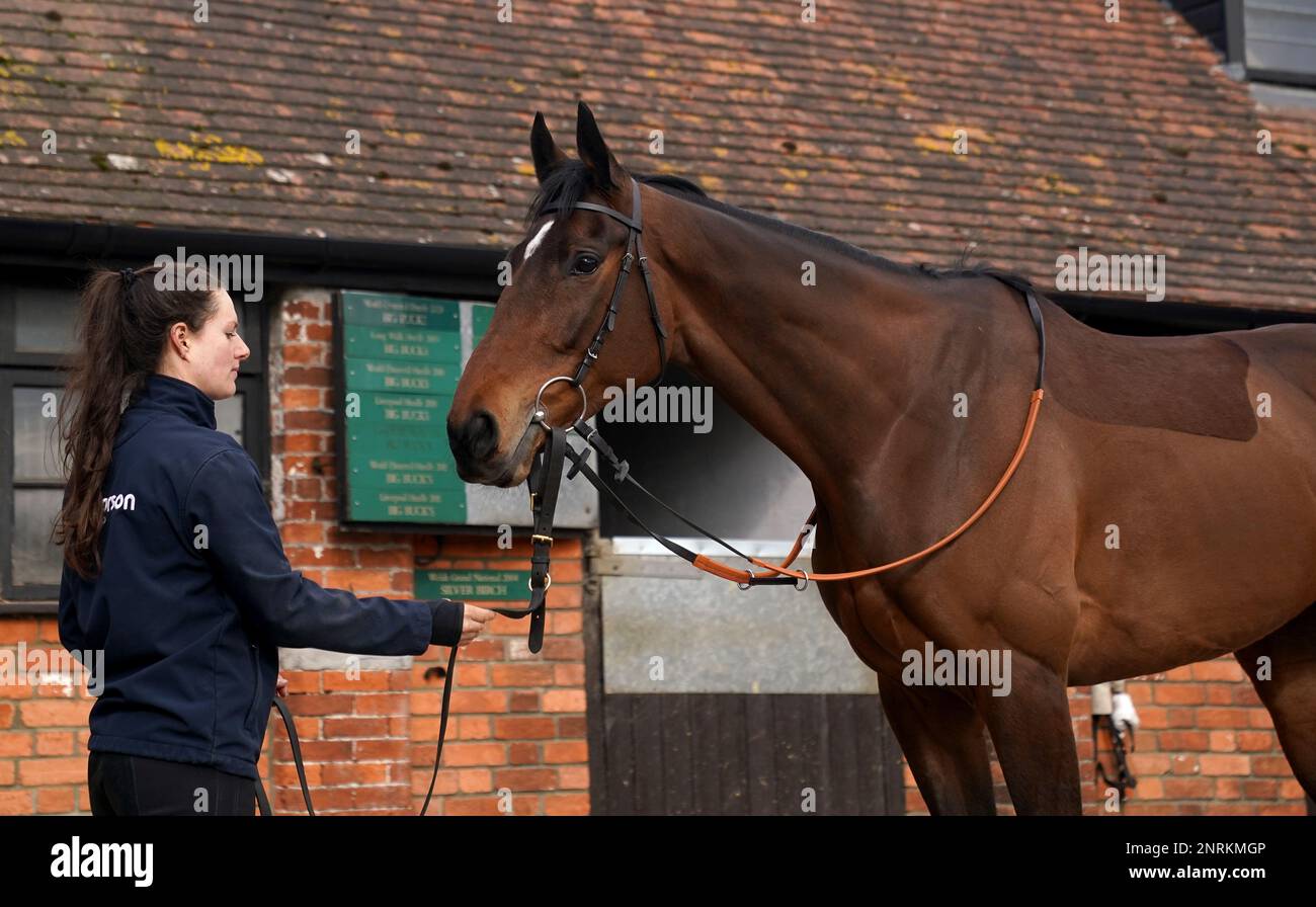 Hitman with a stable hand during a visit to Manor Farm Stables ...