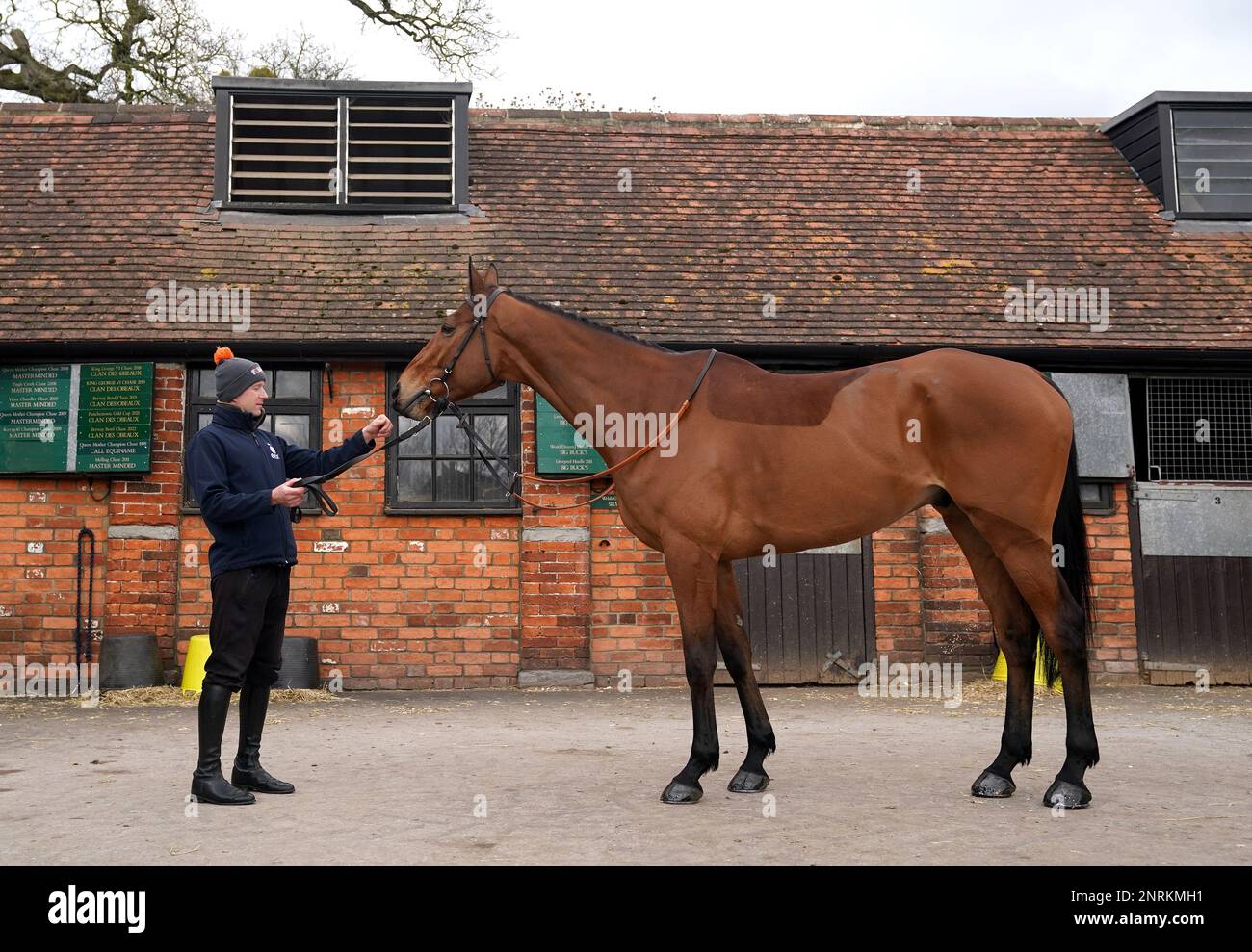 Bravemansgame horse 2023 hi-res stock photography and images - Alamy