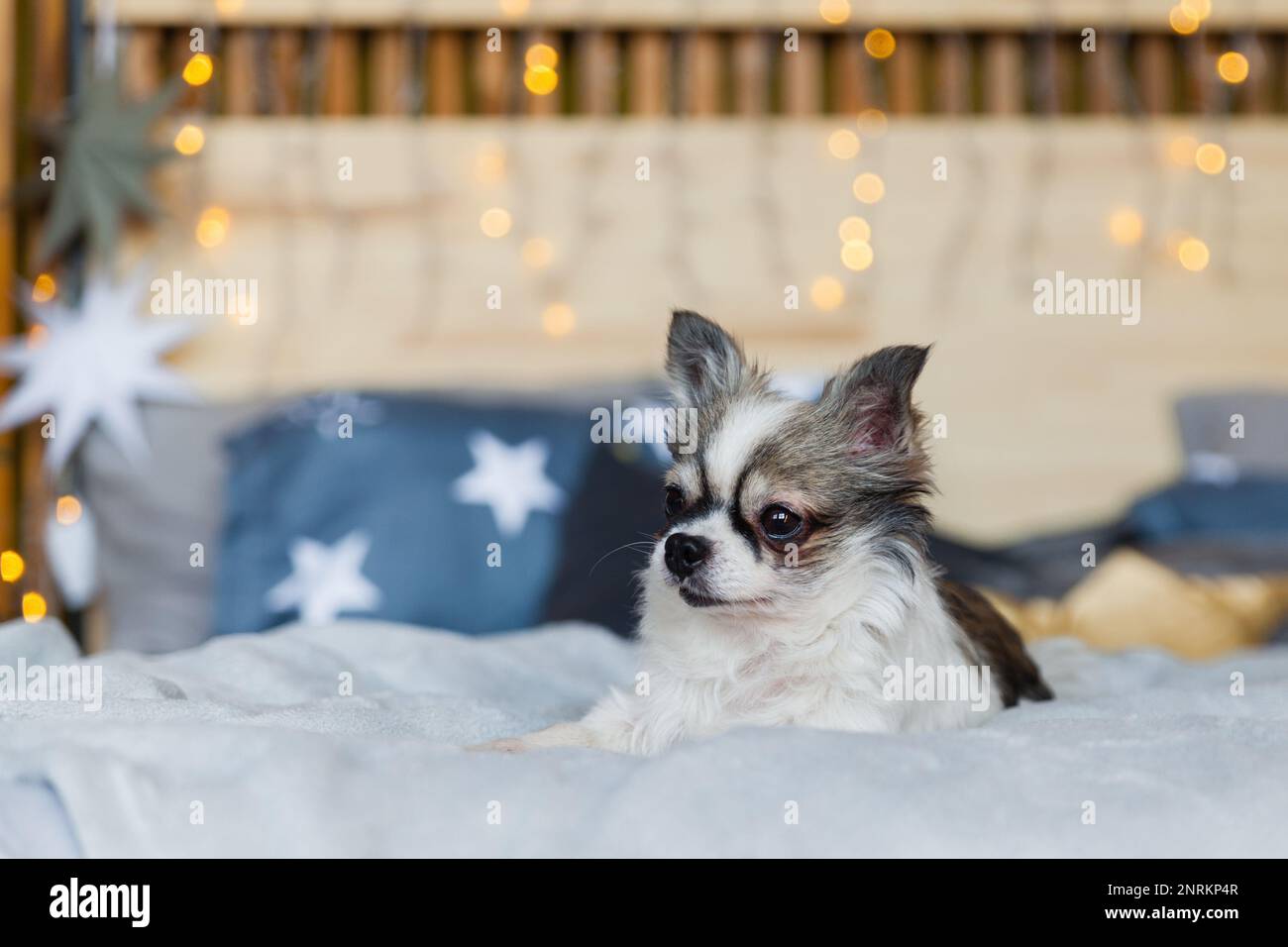 Sog design hi-res stock photography and images - Alamy