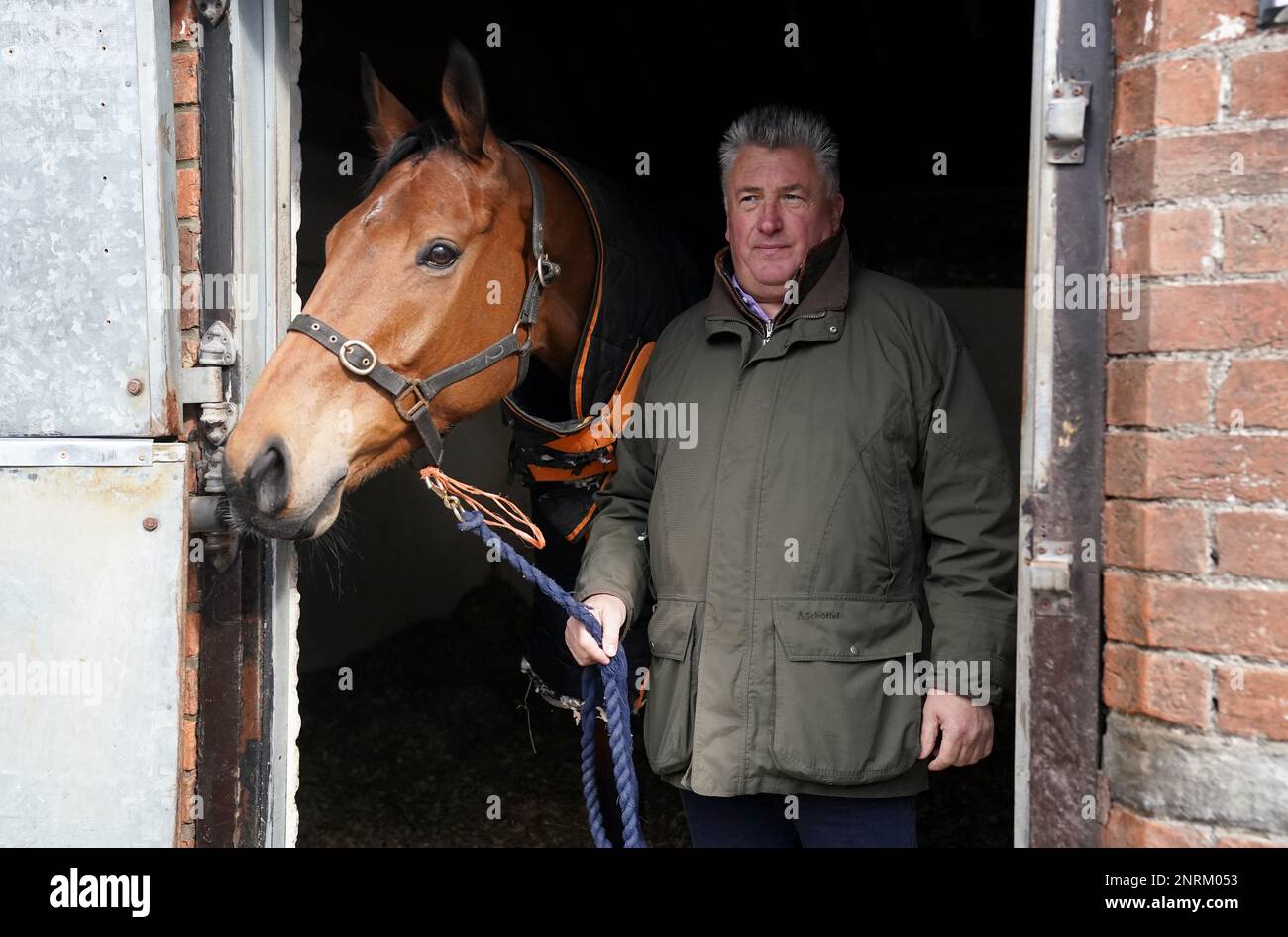 Bravemansgame with trainer Paul Nicholls during a visit to Manor Farm ...