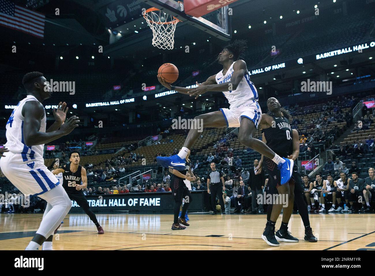 Buffalo forward Jeenathan Williams scores against Harvard during the ...