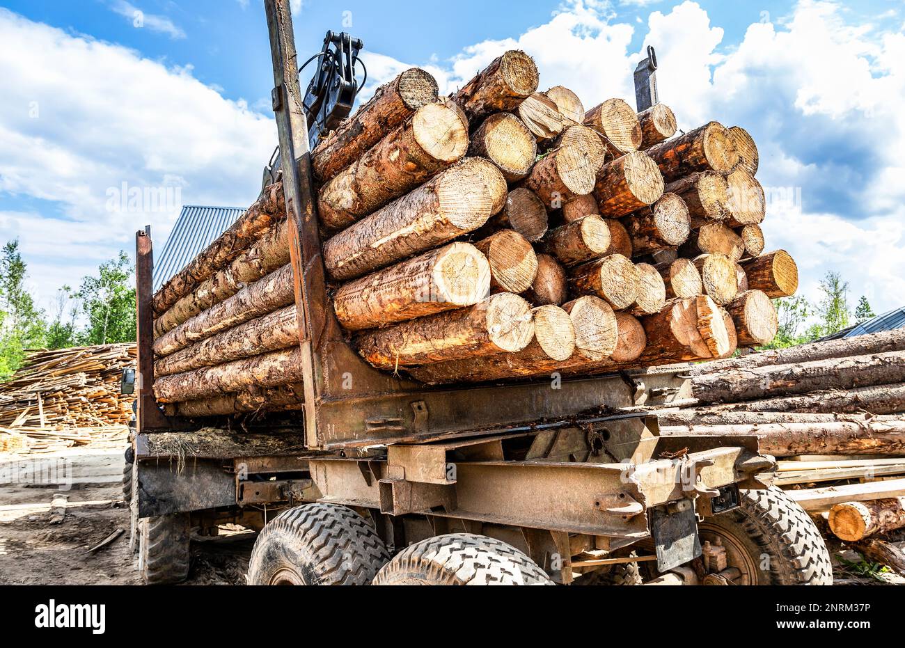 Timber carrier with sawn logs at the wood storage place. Forest ...