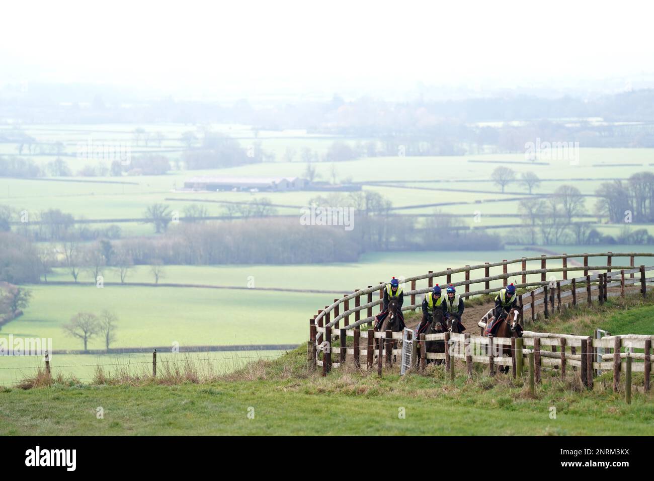 Paul nicholls stable on gallops hi-res stock photography and images - Alamy