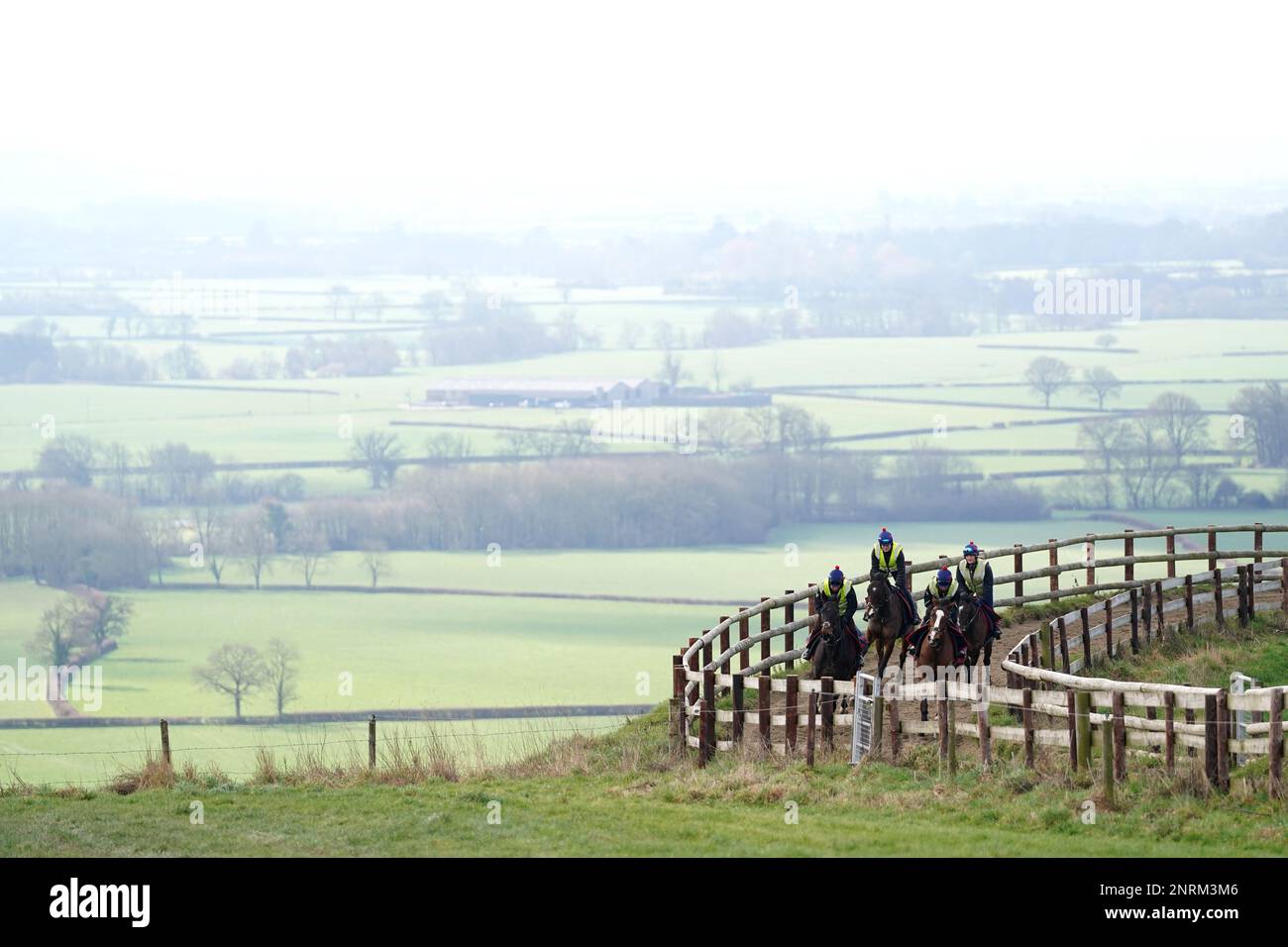 Horses and riders on the gallops during a visit to Manor Farm Stables ...