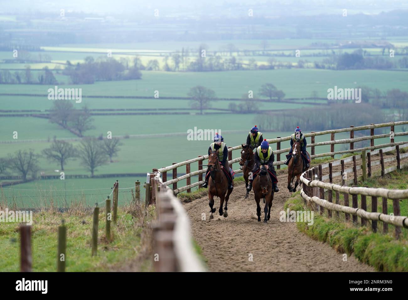 Horses and riders on the gallops during a visit to Manor Farm Stables ...