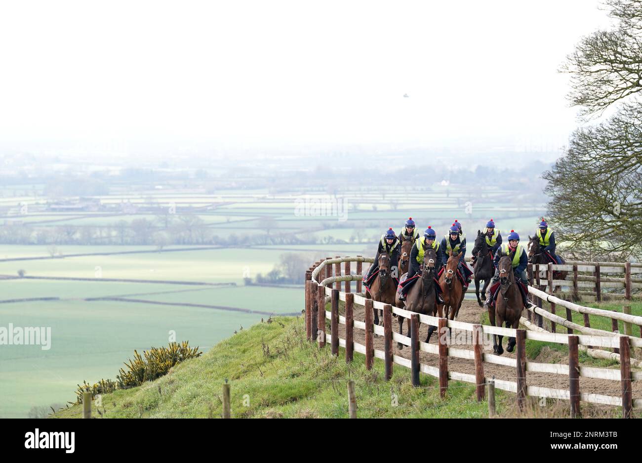 Horses and riders on the gallops during a visit to Manor Farm Stables ...