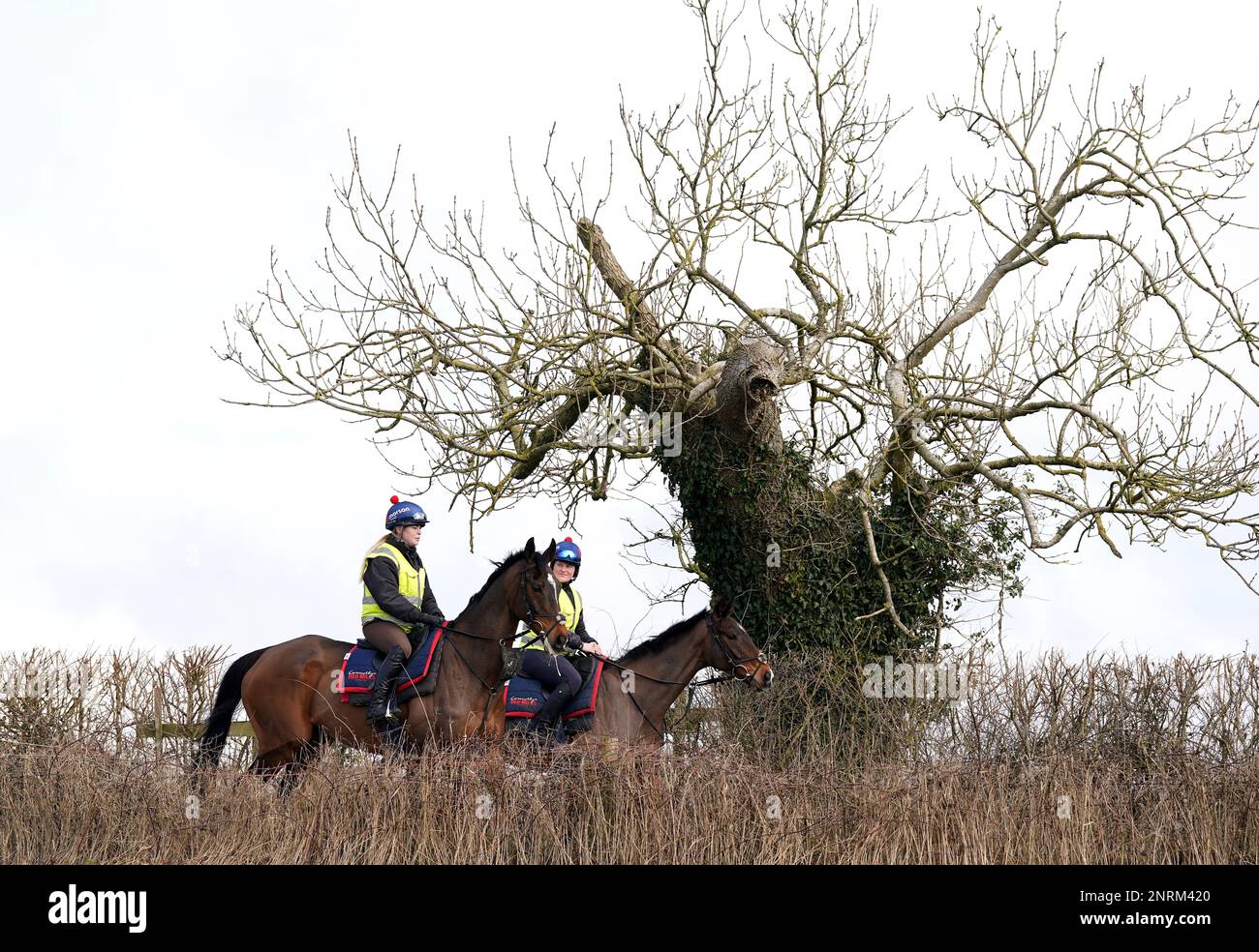 Horses and riders on the gallops during a visit to Manor Farm Stables ...