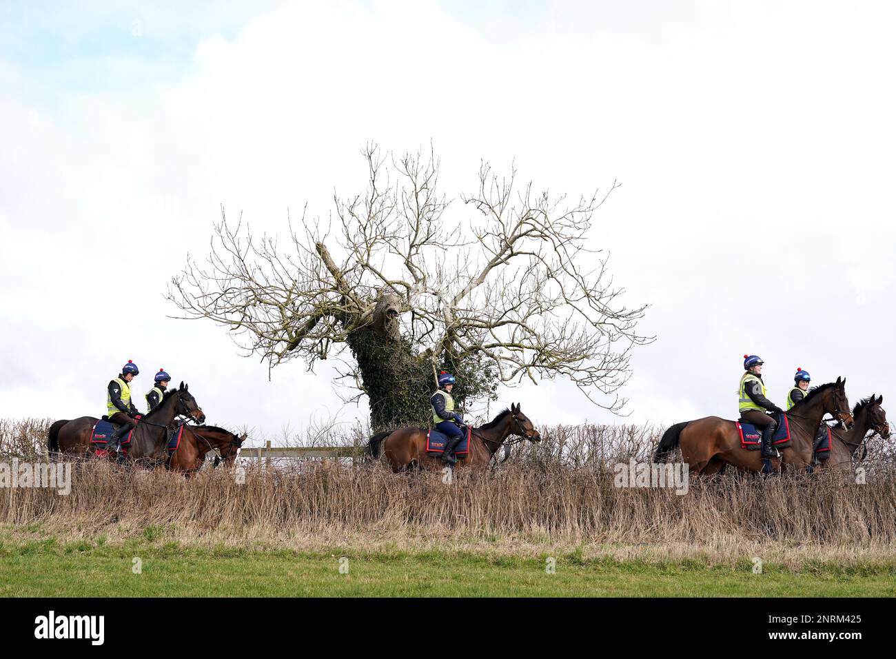 Horses and riders on the gallops during a visit to Manor Farm Stables ...