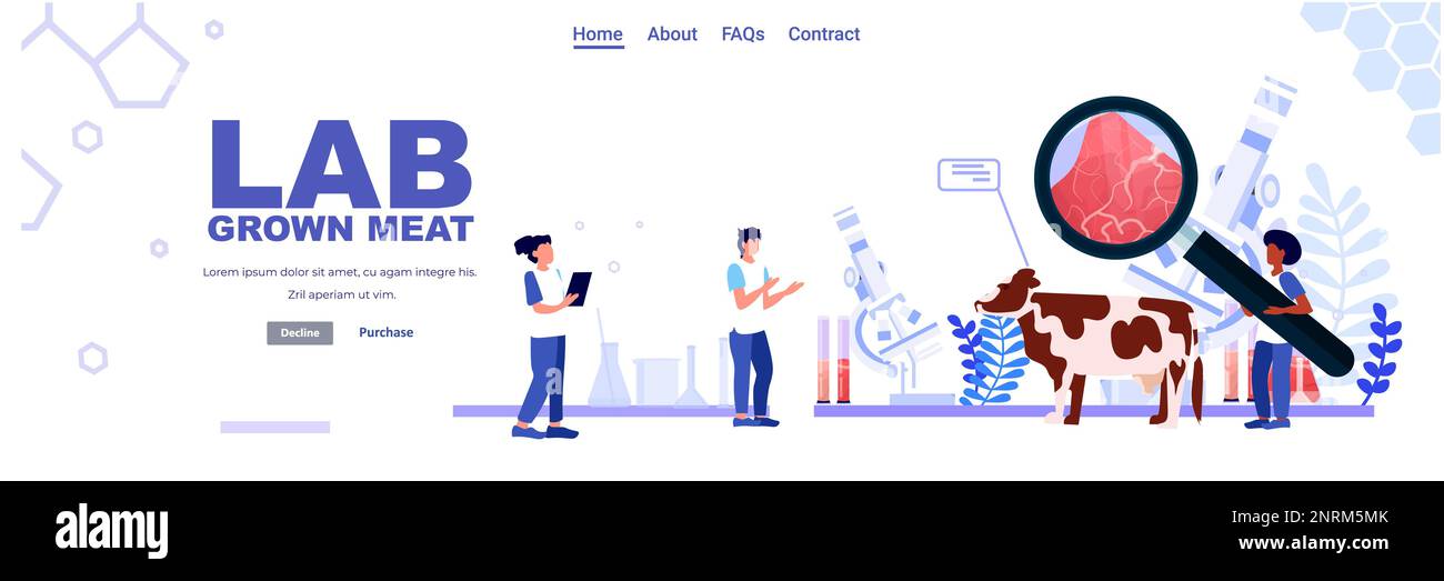 scientists analyzing cultured meat made from animal cells artificial ...