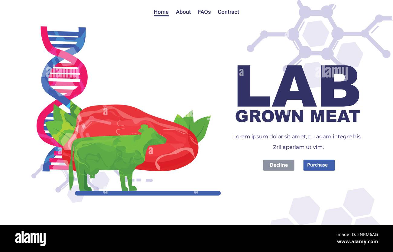 cell cultured veal meat artificial lab grown meat production concept ...