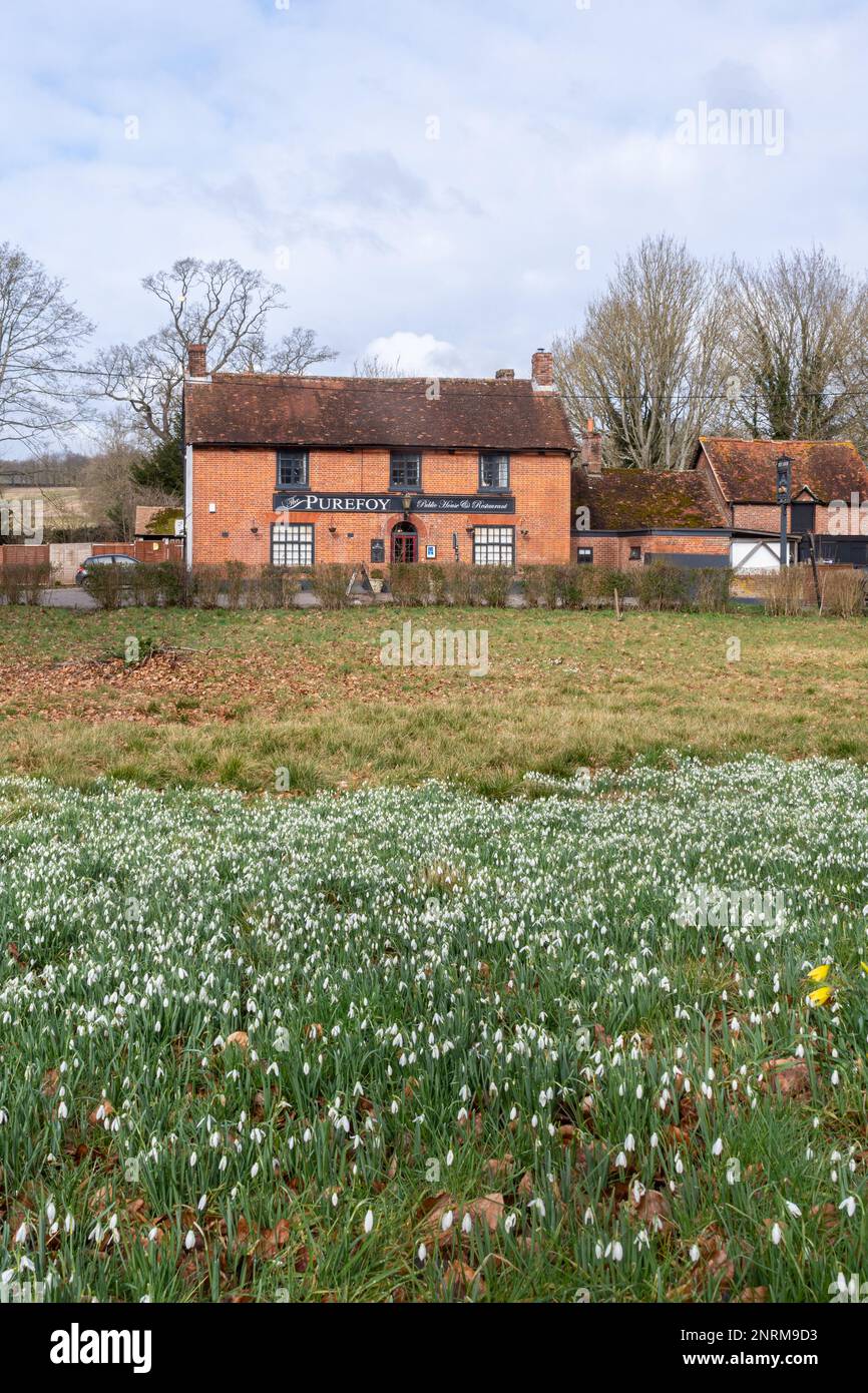 The purefoy arms hi-res stock photography and images - Alamy