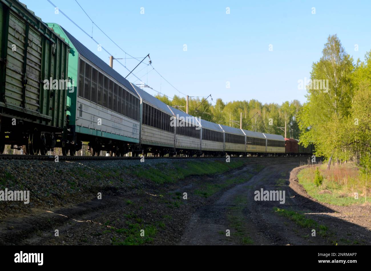cars train freight train coming into the turn on the road in the shade ...
