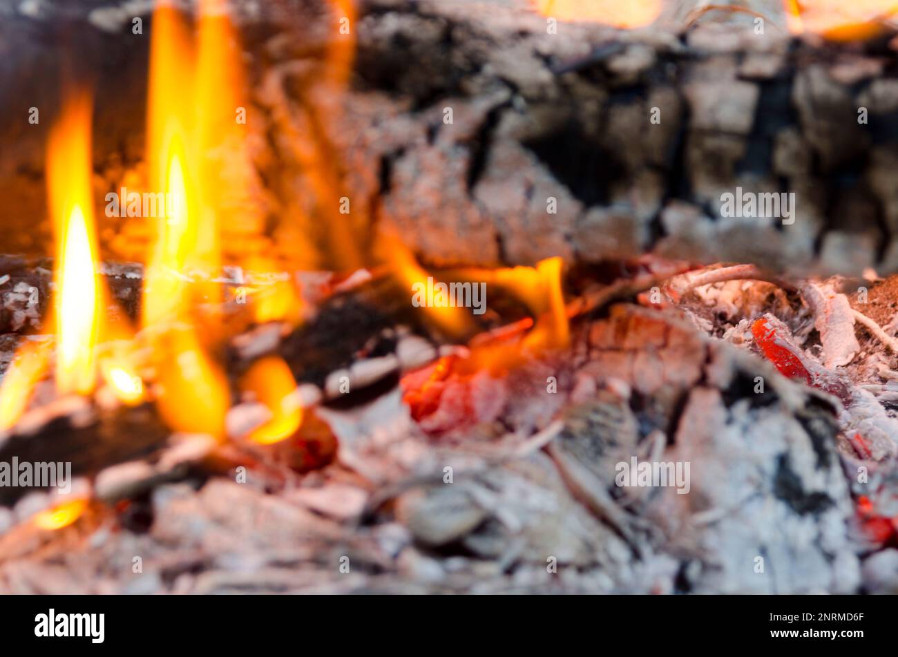 Bright flames of campfire fire for barbecue cooking at night behind ...
