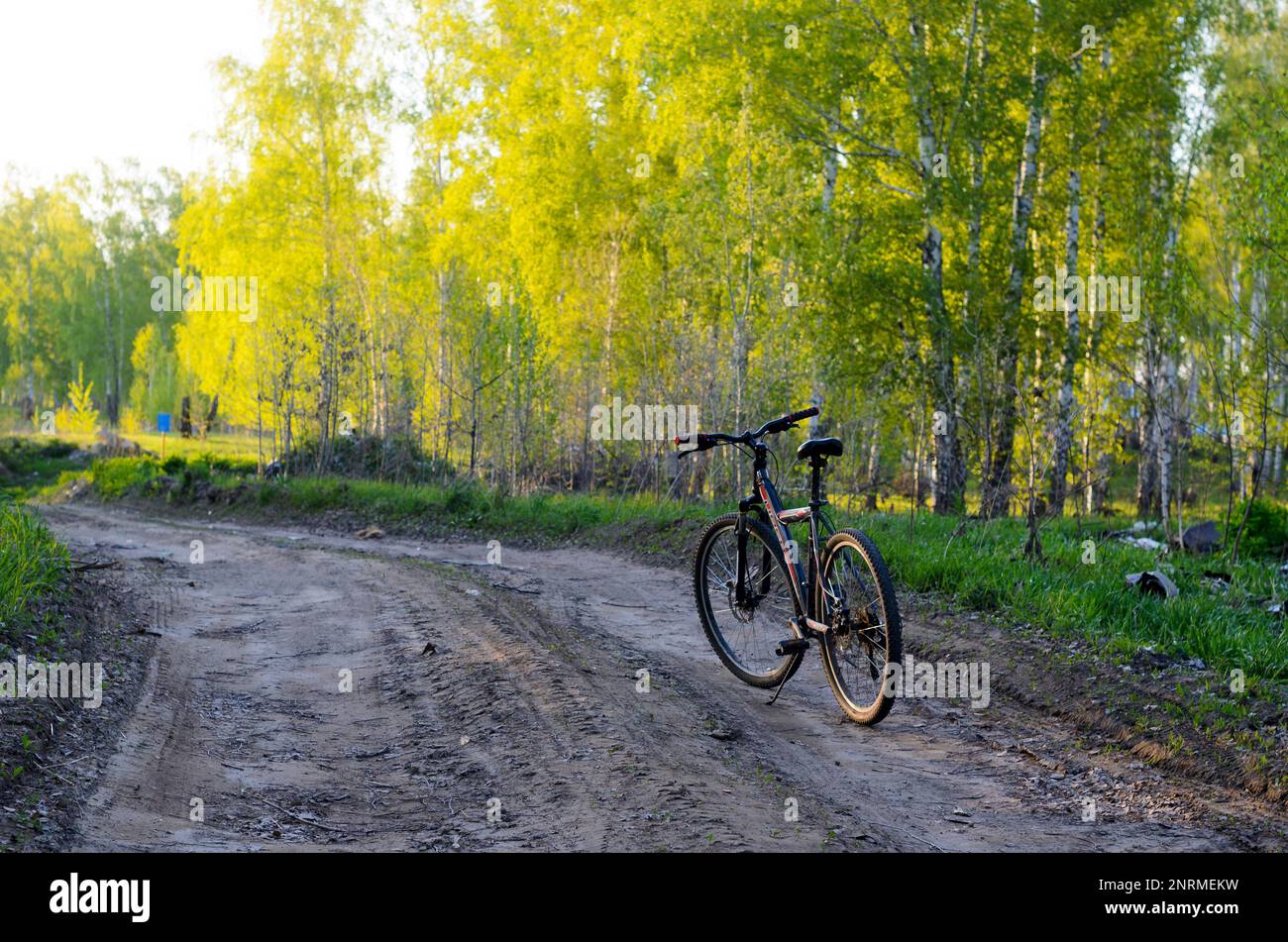 The bicycle stands on a country road in the forest without people Stock ...