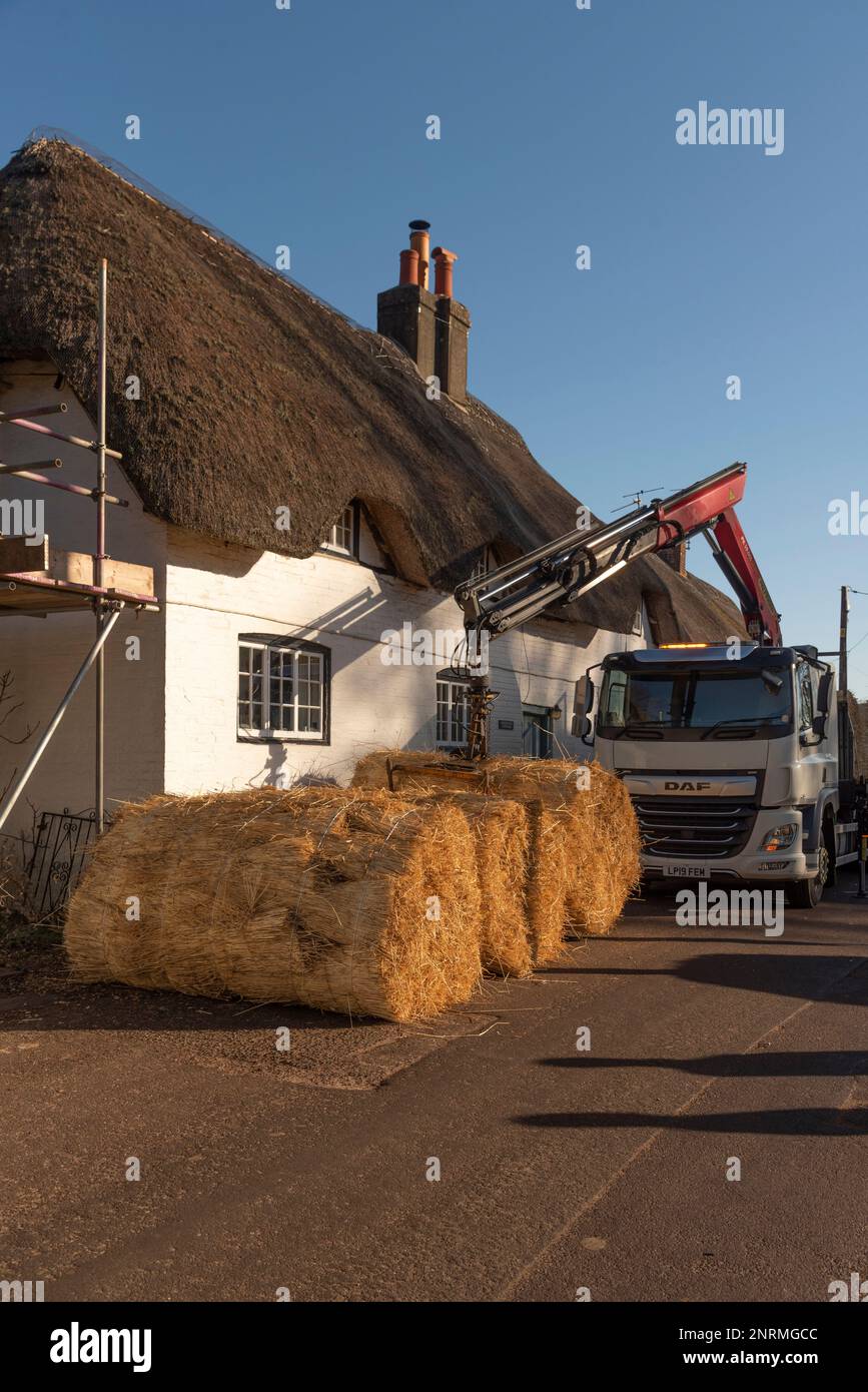 Hampshire, England, UK. 2023. Bales of thatching straw being offloaded ...