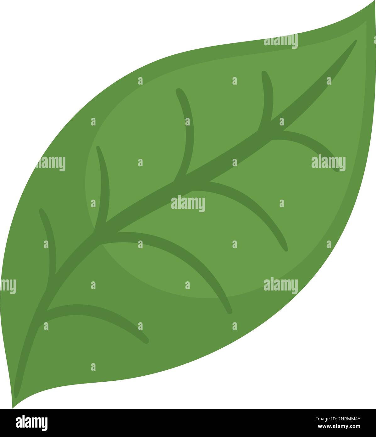 leaf spring icon Stock Vector Image & Art - Alamy