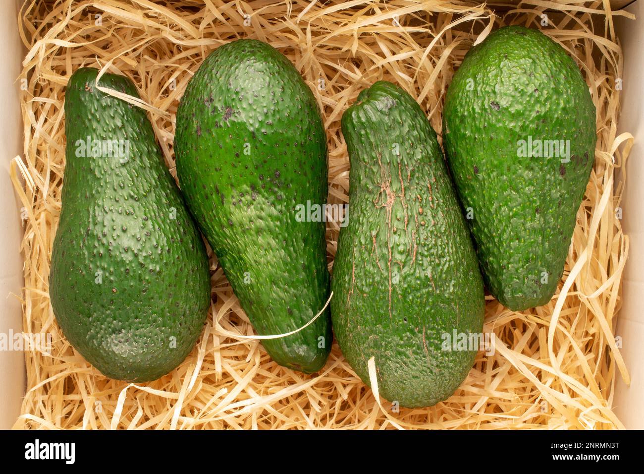 Four ripe avocados in a paper box with wood shavings, macro, top view ...