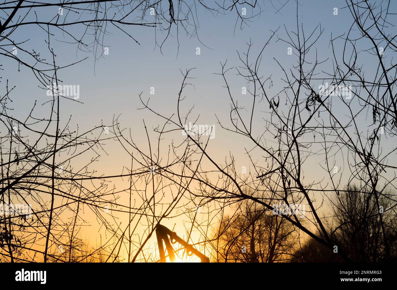 Spring tree branches without leaves against the blue sky Stock Photo ...