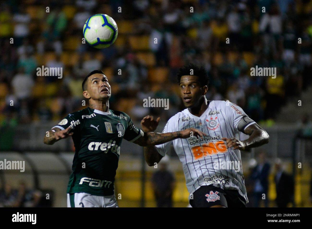 SP - Sao Paulo - 11/09/2019 - Brazilian A 2019, Palmeiras vs ...