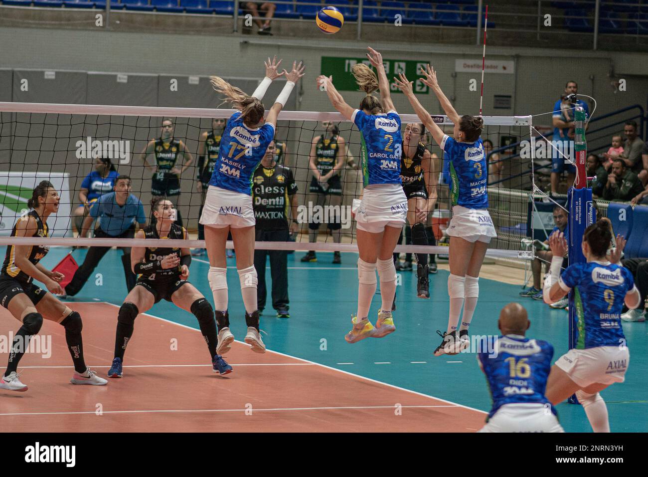MG - Belo Horizonte - 07/11/2019 - Mining Championship of Volleyball ...