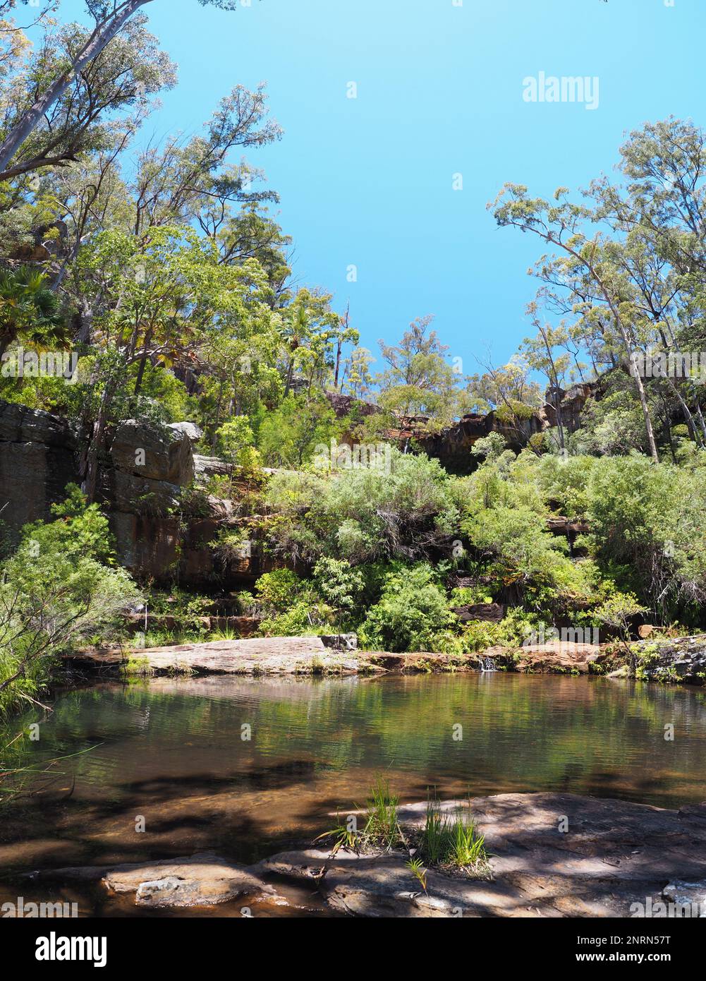Swimming holes in the Gudda Gumoo gorge in Blackdown Tableland National ...
