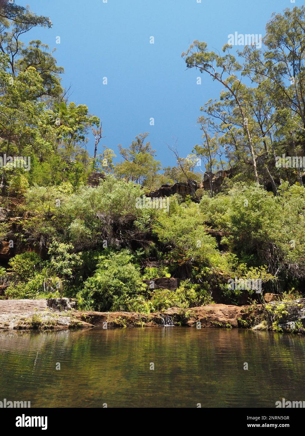 Swimming holes in the Gudda Gumoo gorge in Blackdown Tableland National ...