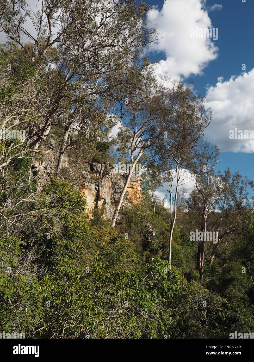 Sandstone cliffs of Cania Gorge National Park Stock Photo - Alamy