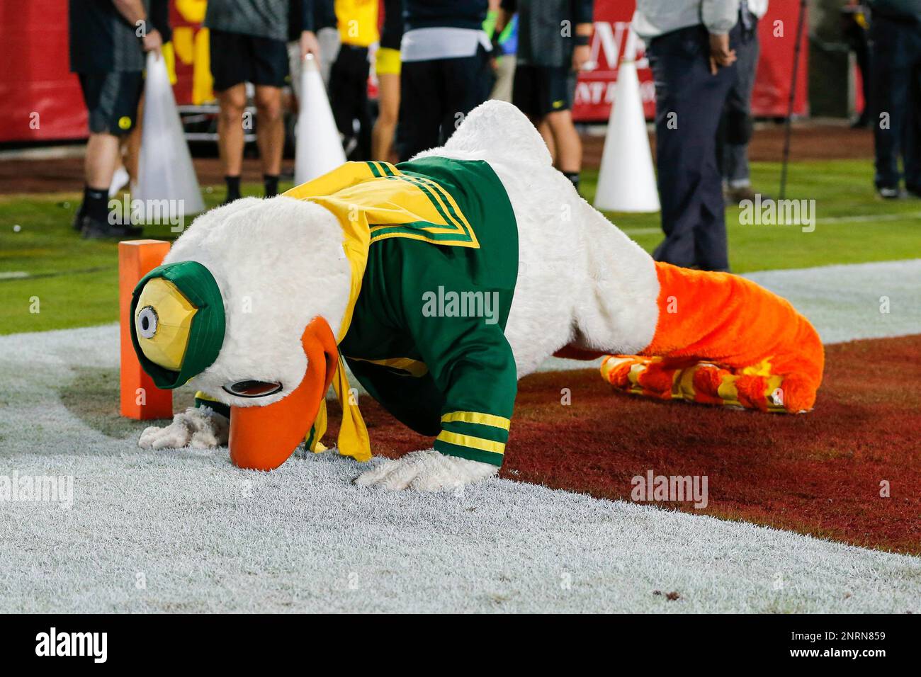 Oregon Ducks Mascot Push Ups