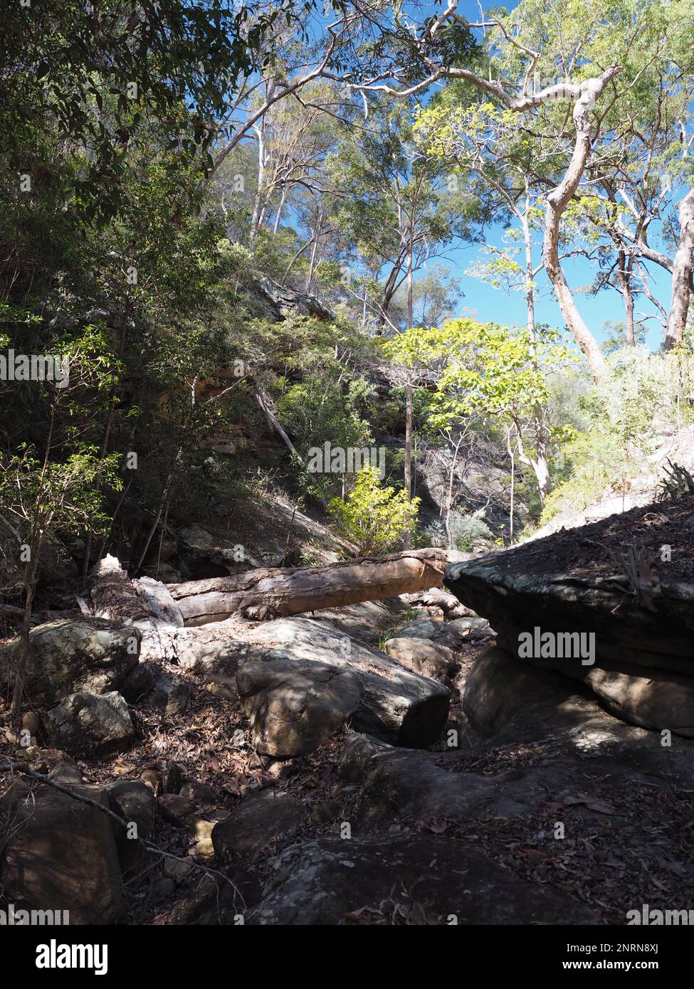 Hiking trail in Cania Gorge National Park, Queensland Stock Photo - Alamy