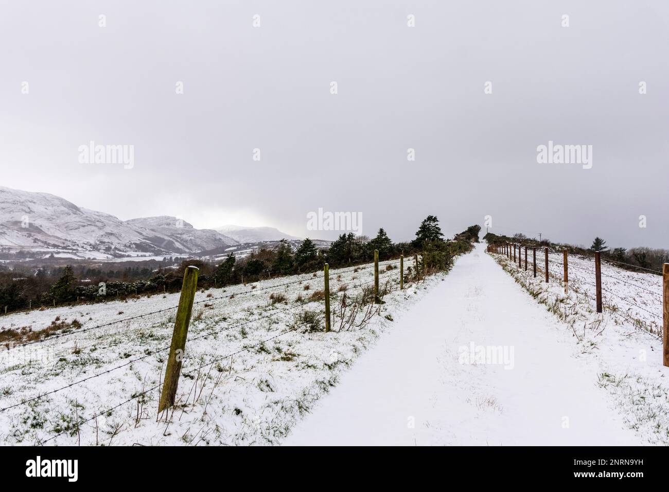 Rural lane in winter landscape with snow, Ardara, County Donegal ...