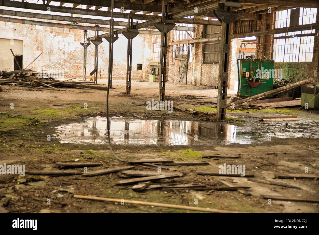 Abandoned place Industrial building: Bright industrial hall with moss ...