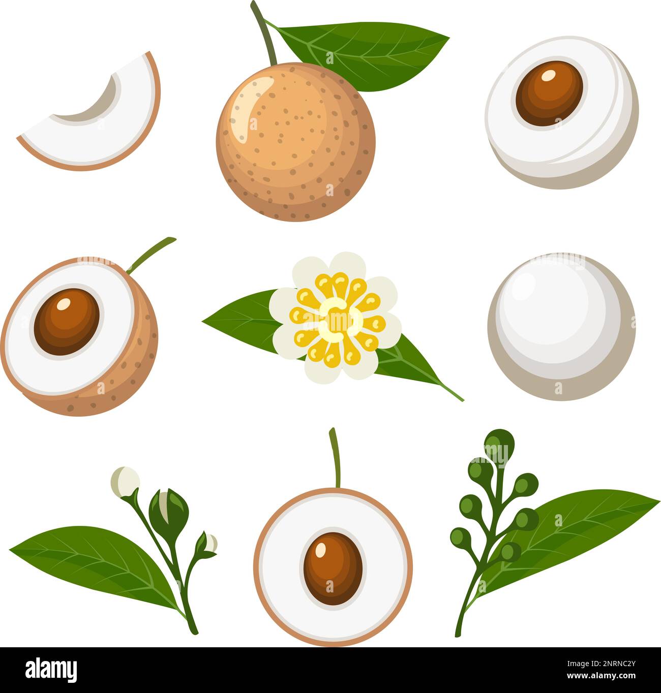 Colored cartoon hi-res stock photography and images - Alamy