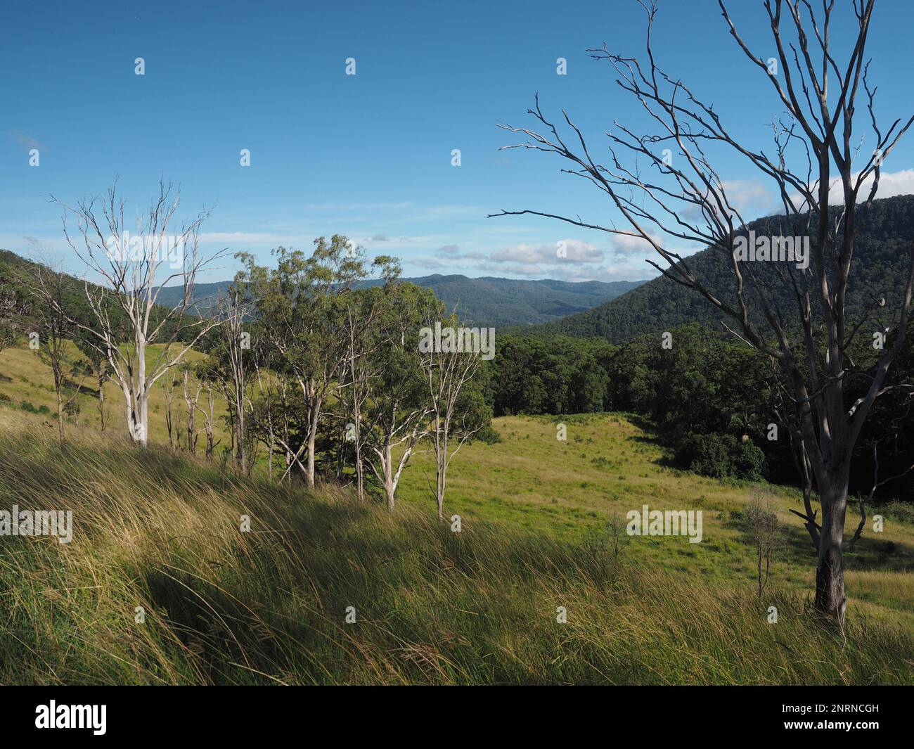 Hiking in the Border Ranges National Park, New South Wales, Australia ...