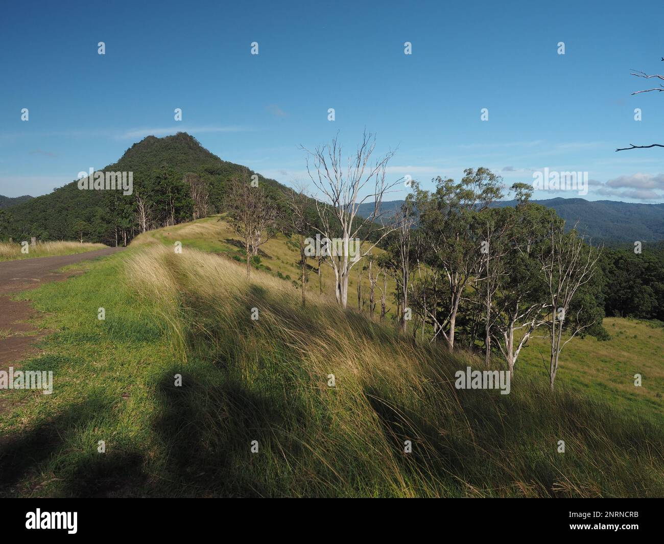 Hiking in the Border Ranges National Park, New South Wales, Australia ...