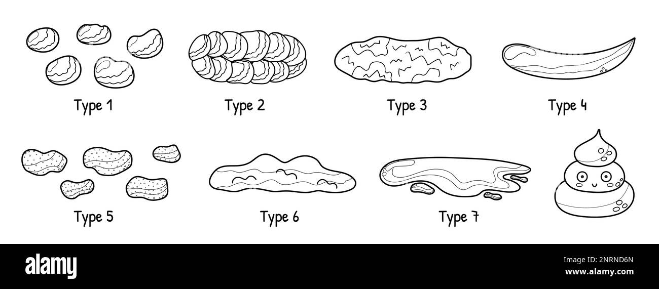 Bristol stool black and white set with different types of poo. Human ...