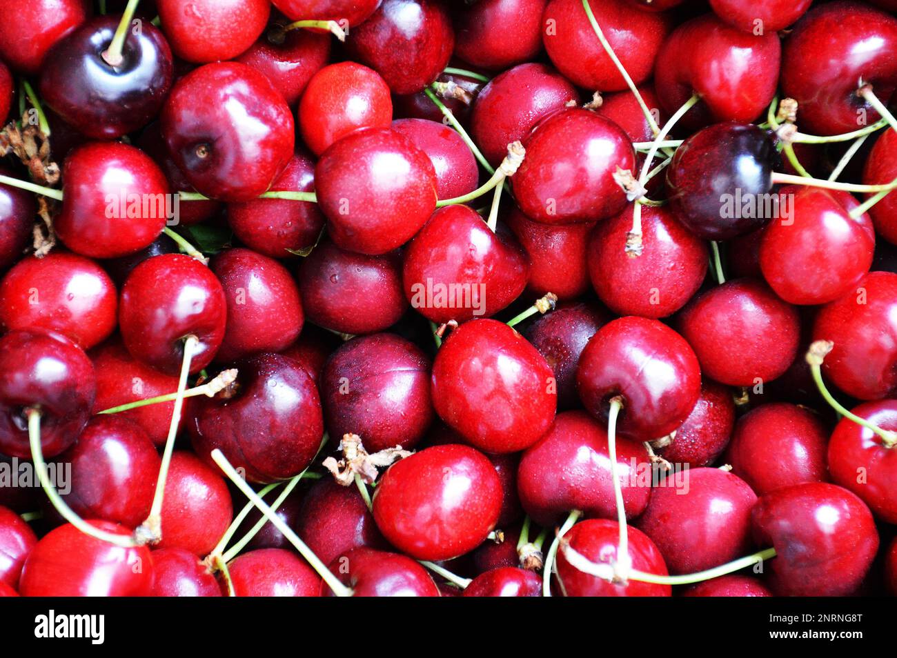 Sweet cherries background. Full frame of cherries Stock Photo - Alamy