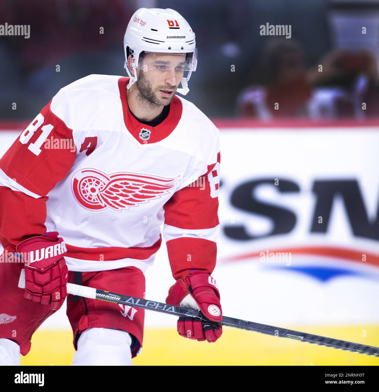NHL profile photo on Detroit Red Wings player Frans Nielsen, from ...